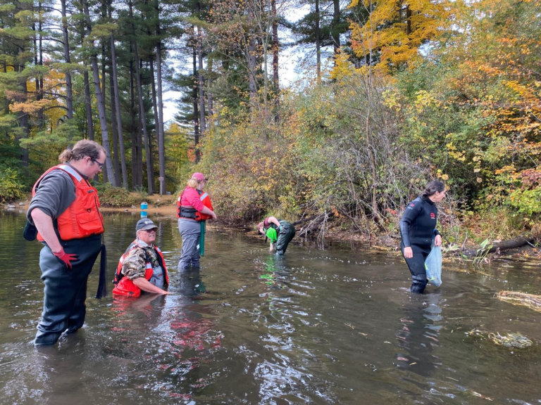 Collecting Mussels in Michigan- a partnership to answer questions and ...